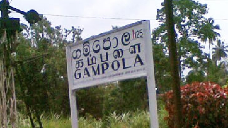 එකට පවුල් කන්න සිතා නිවෙස්වලින් පලා ගිය පෙම්වතුන් යුවළක් අතරමංවෙයි ...